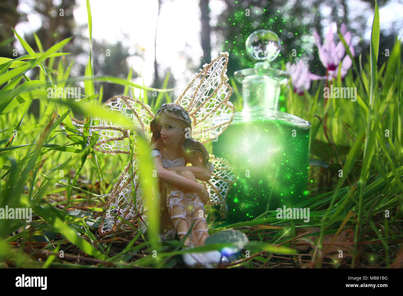 Pictures Of Real Fairies Alive