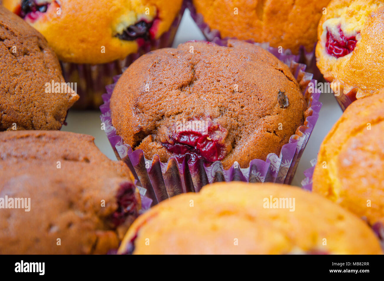 Tasty homemade chocolate muffins hi-res stock photography and images ...