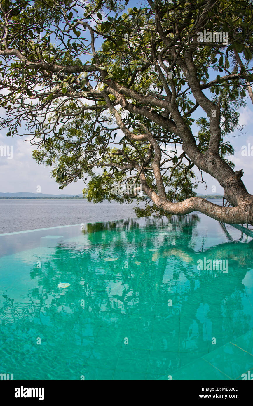 Vertical view across an infinity pool of Parakrama Samudra reservoir in ...