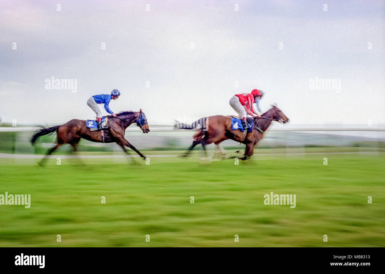 Brighton races hi-res stock photography and images - Alamy