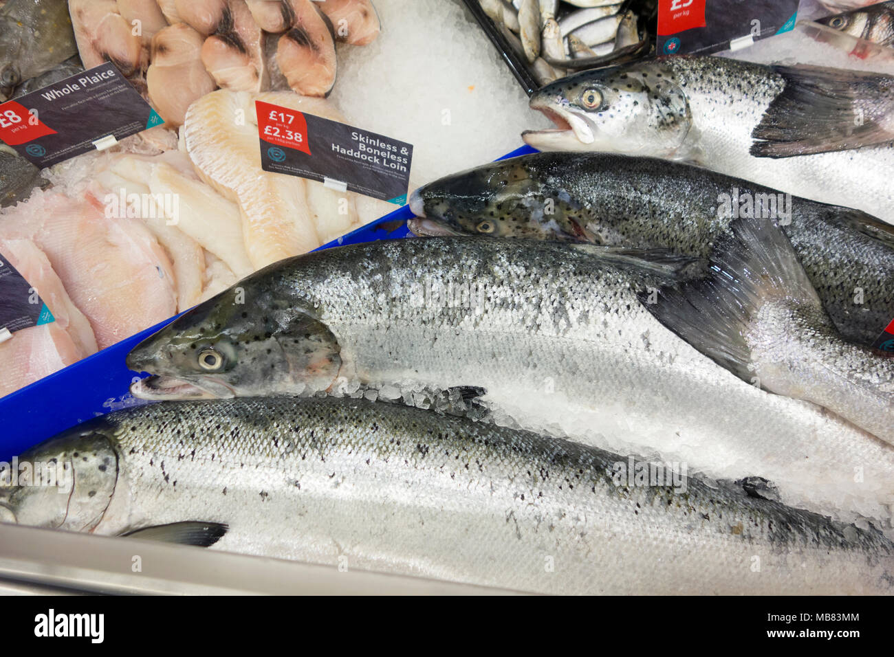 Wet fish hi-res stock photography and images - Alamy