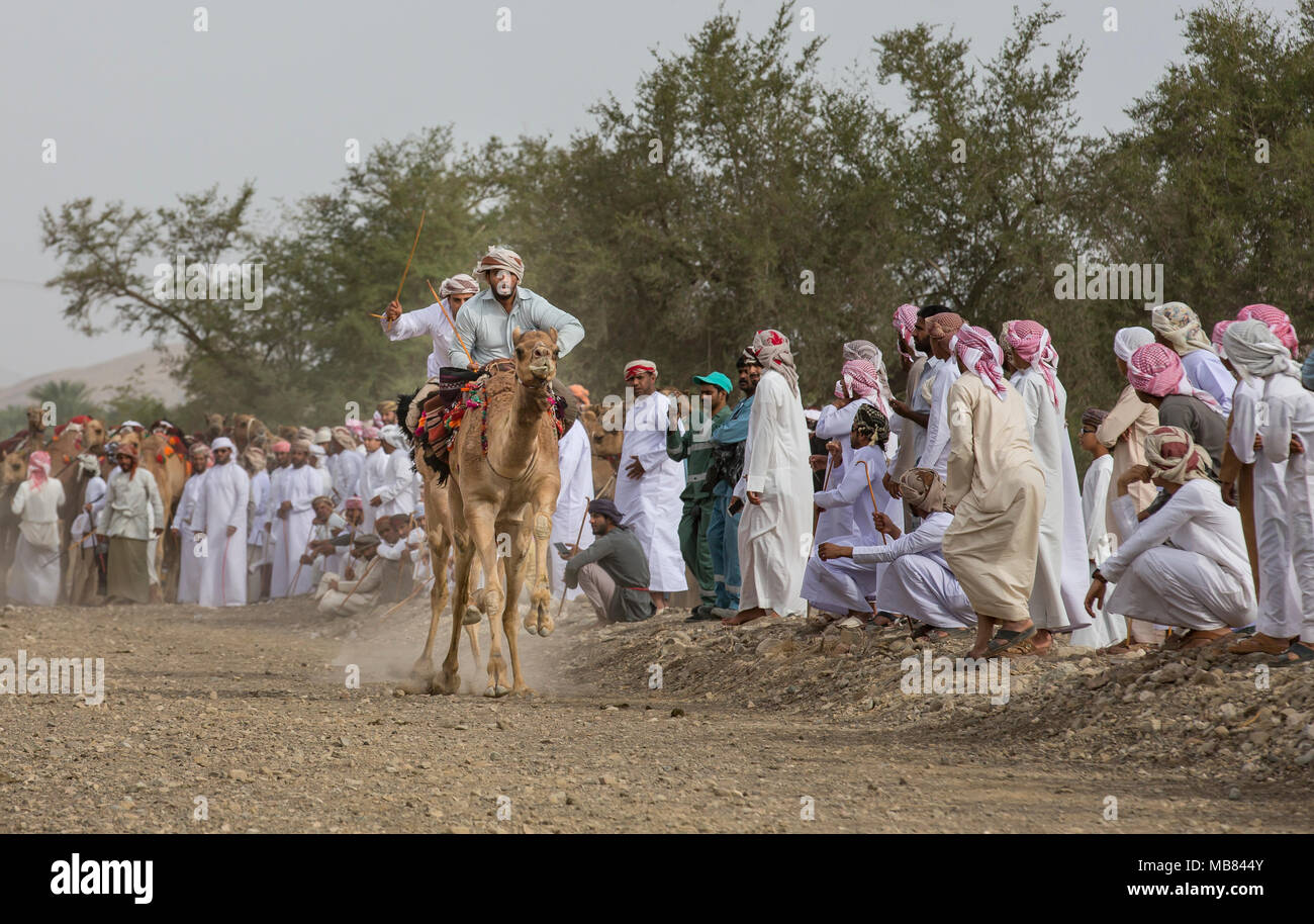 Oman countryside hi-res stock photography and images - Alamy