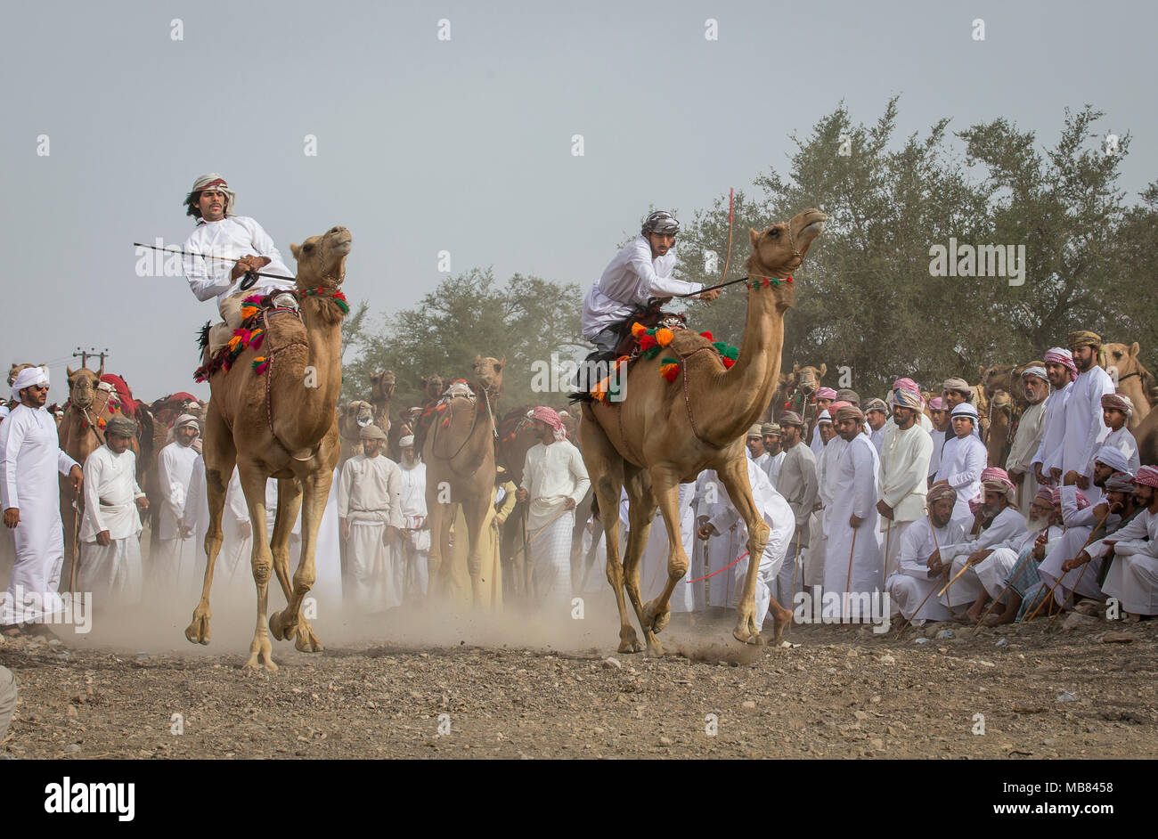 Oman countryside hi-res stock photography and images - Alamy