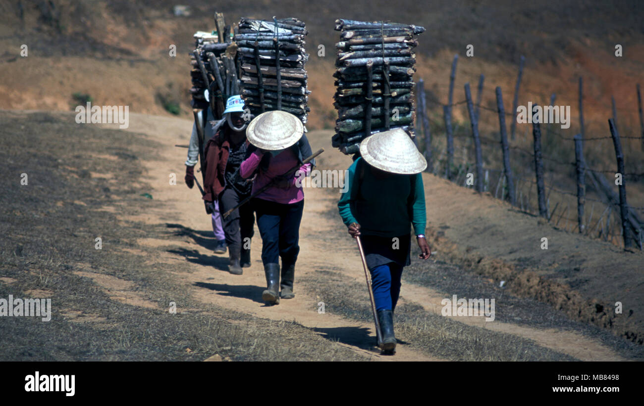Indigenous Koho people walk back to their village in northwest Vietnam ...