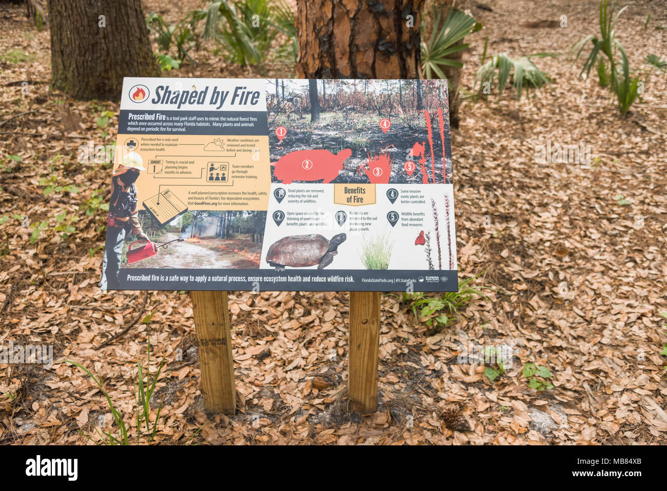 Prescribed fire process hi-res stock photography and images - Alamy
