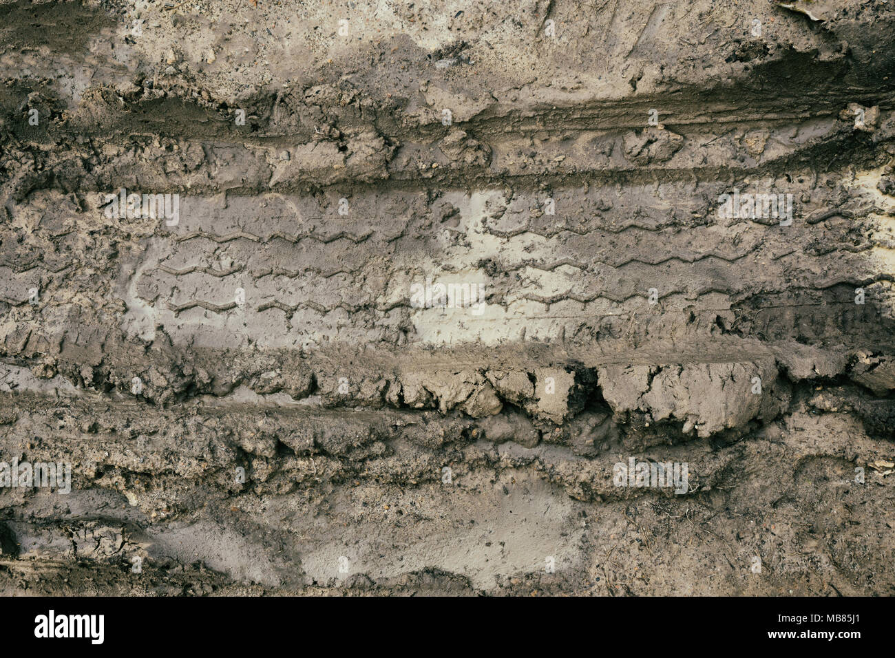 Car Wheel Track in Wet Mud Stock Photo - Alamy