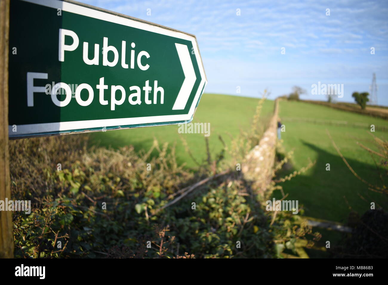 Shallow depth of field sign hi-res stock photography and images - Alamy