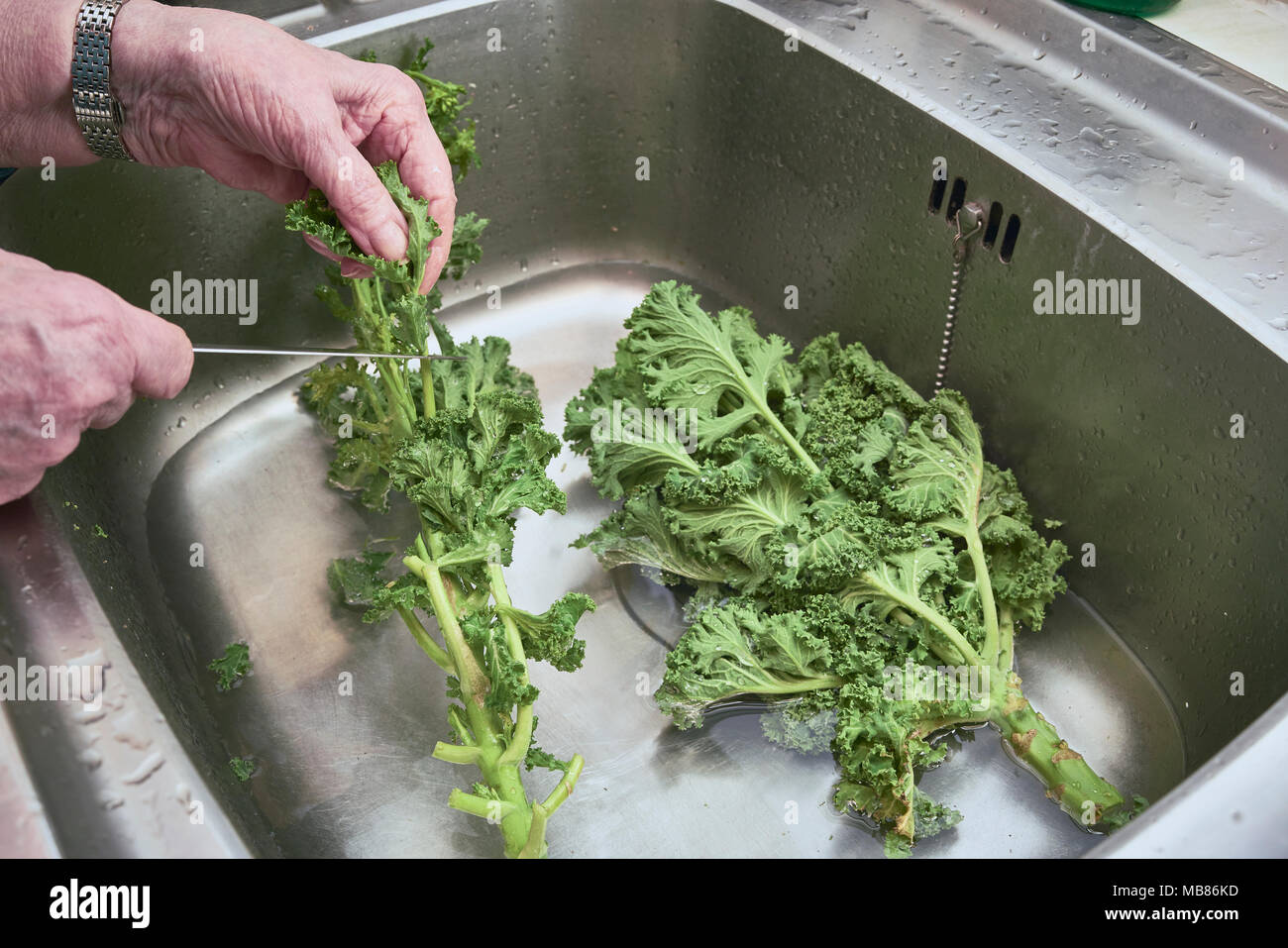 Hand washing process hi-res stock photography and images - Alamy