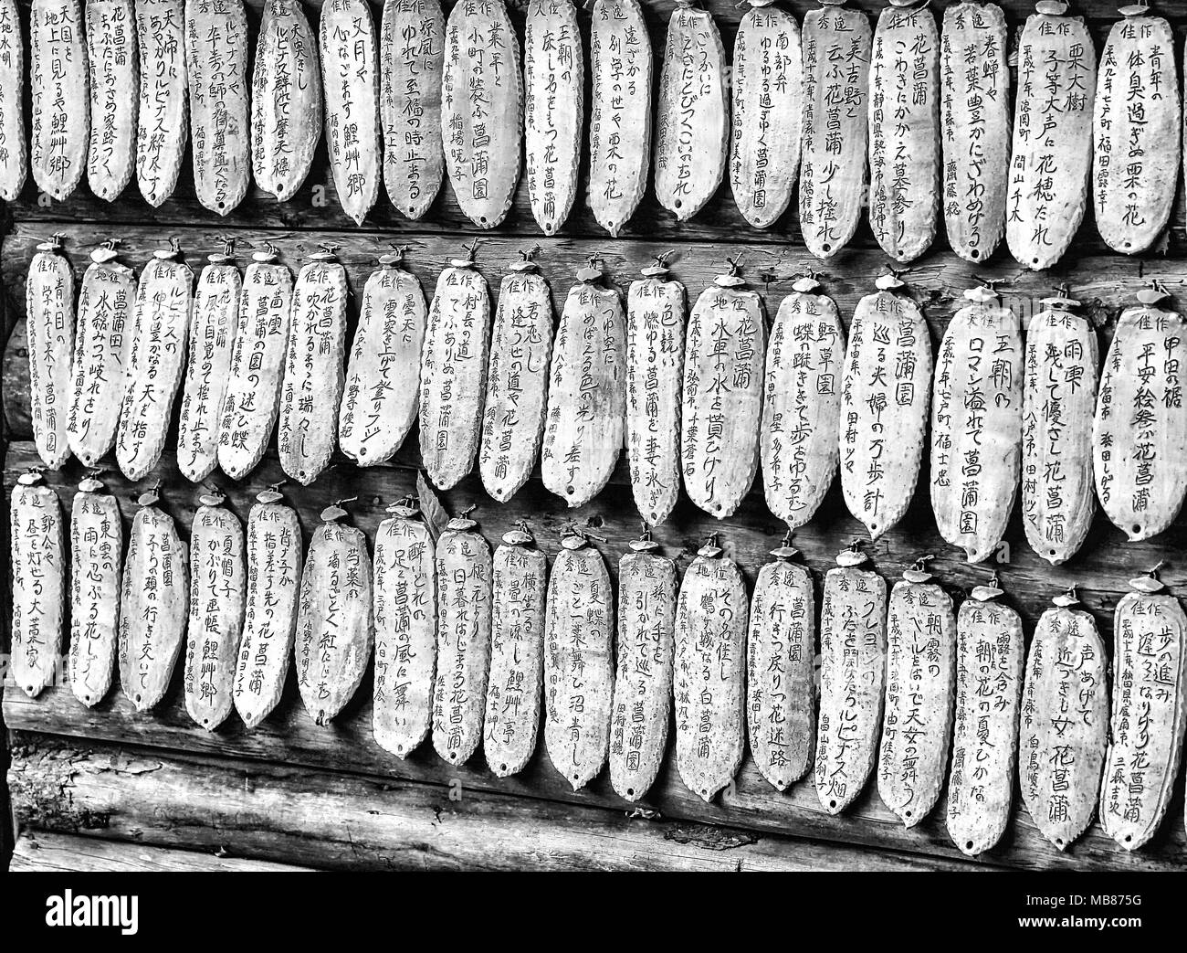 Wall of wishes hi-res stock photography and images - Alamy