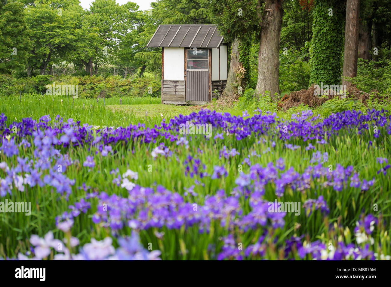 Earths spring hi-res stock photography and images - Alamy