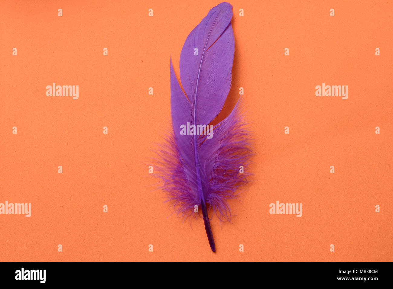 Bright colorful feather abstraction useful as background or wallpaper ...