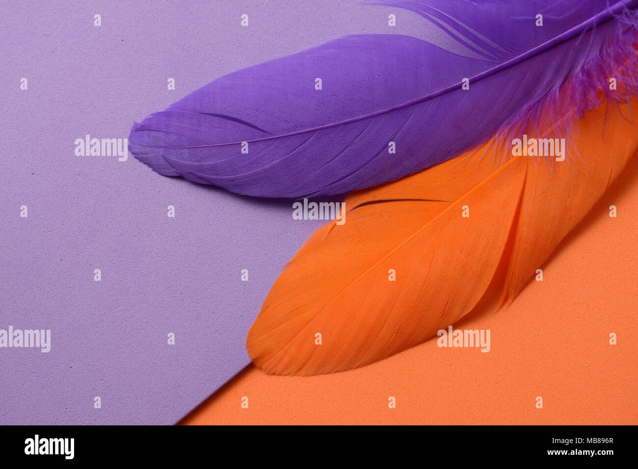 Bright colorful feather abstraction useful as background or wallpaper ...