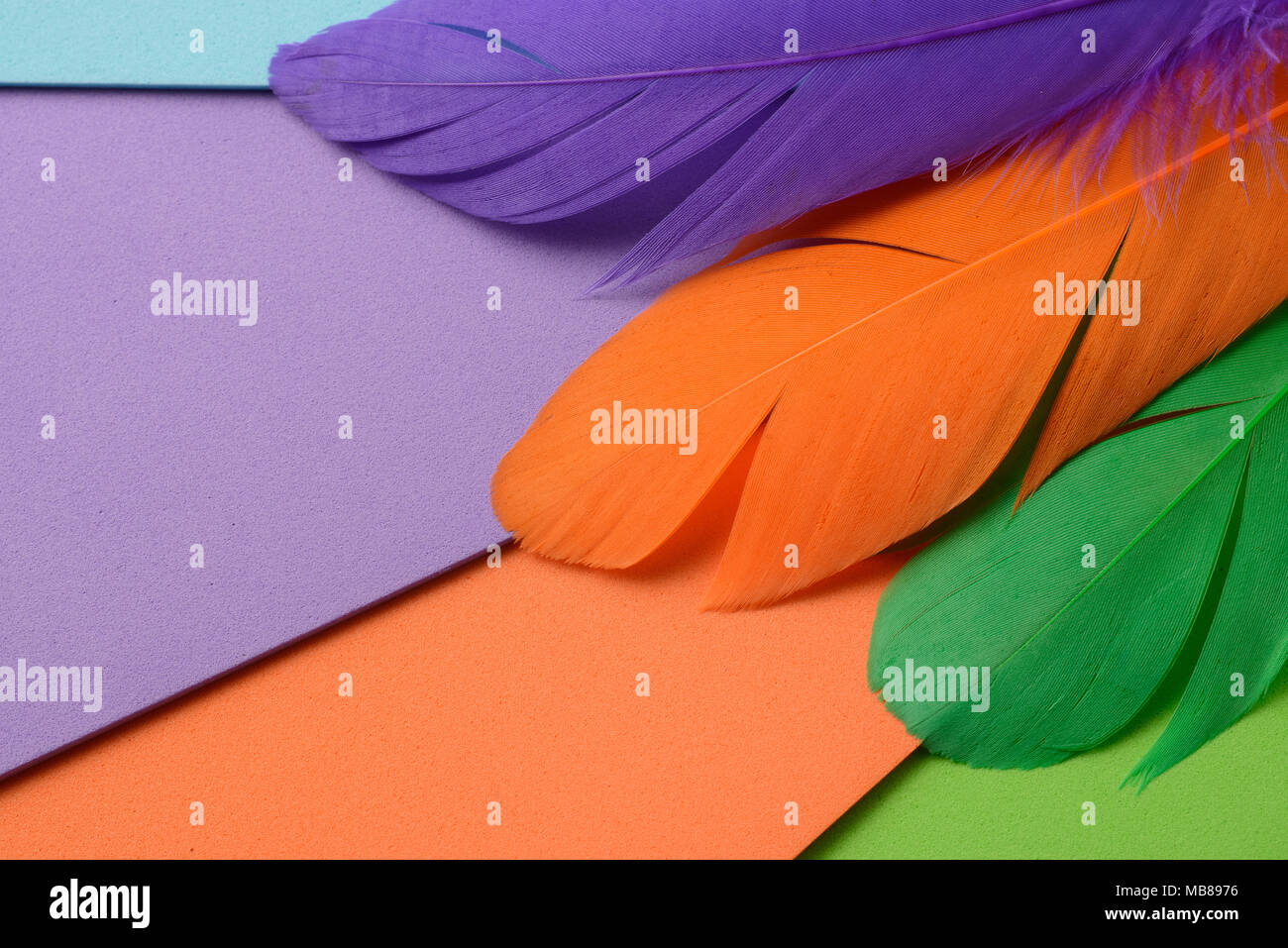 Bright colorful feather Stock Photo - Alamy