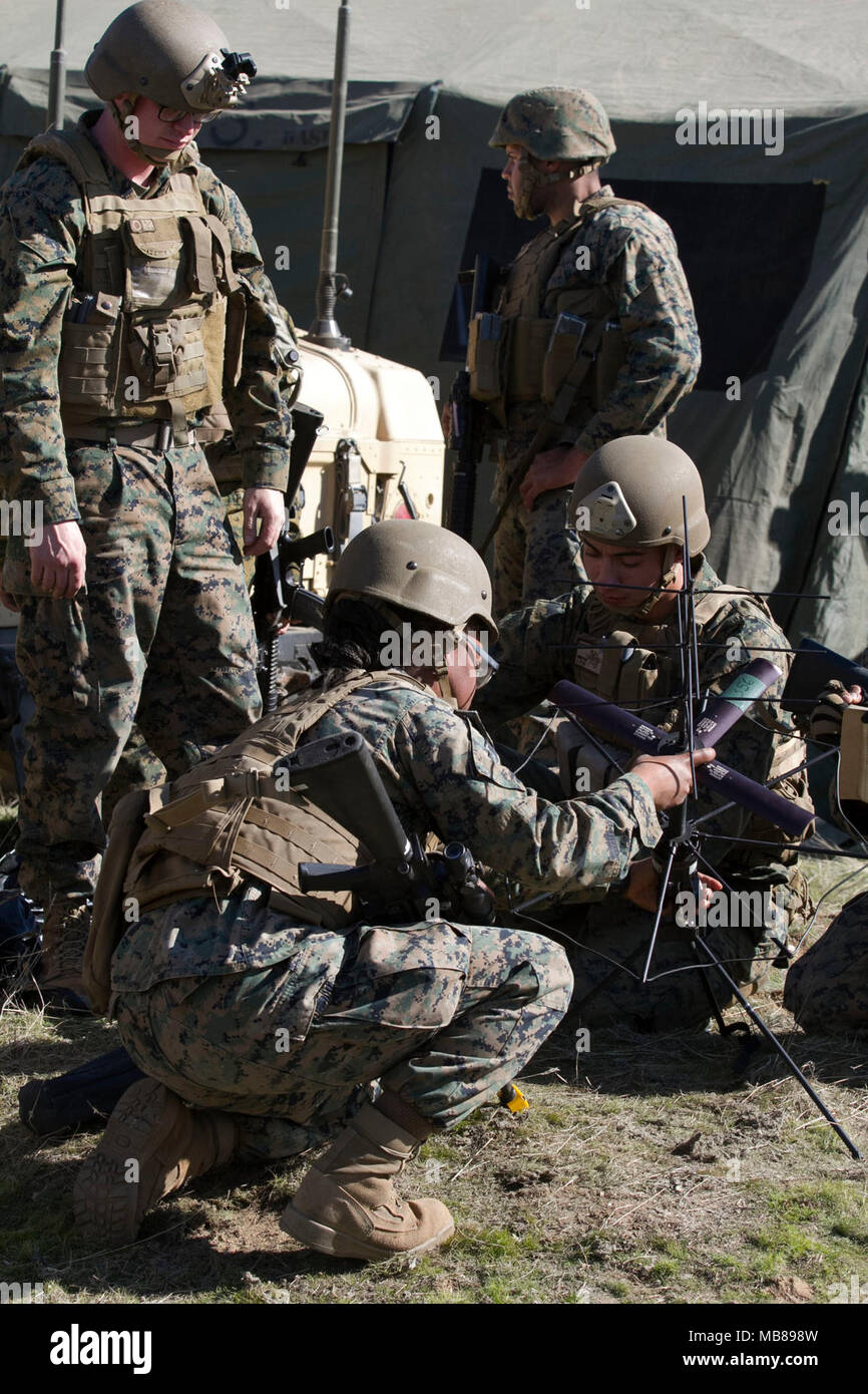 U.S. Marines from the 1st Air Naval Gunfire Liaison Company, 1st Marine ...