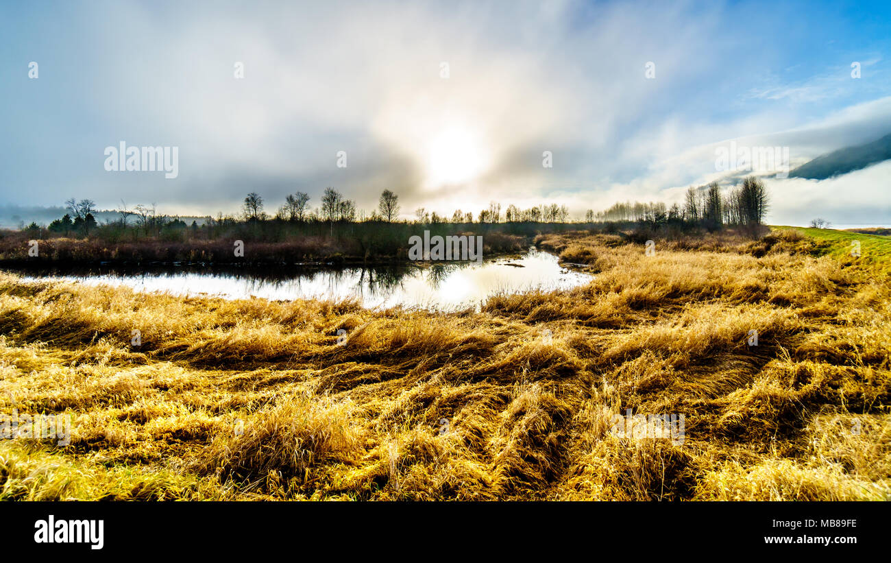 Fog hanging over the Pitt River and the waters of Pitt-Addington Marsh ...