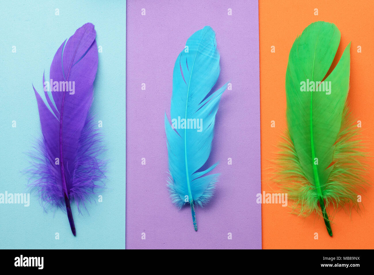 Bird feather texture hi-res stock photography and images - Alamy
