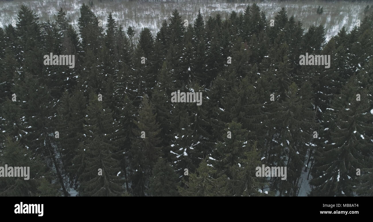 Aerial flight over old wood hi-res stock photography and images - Alamy