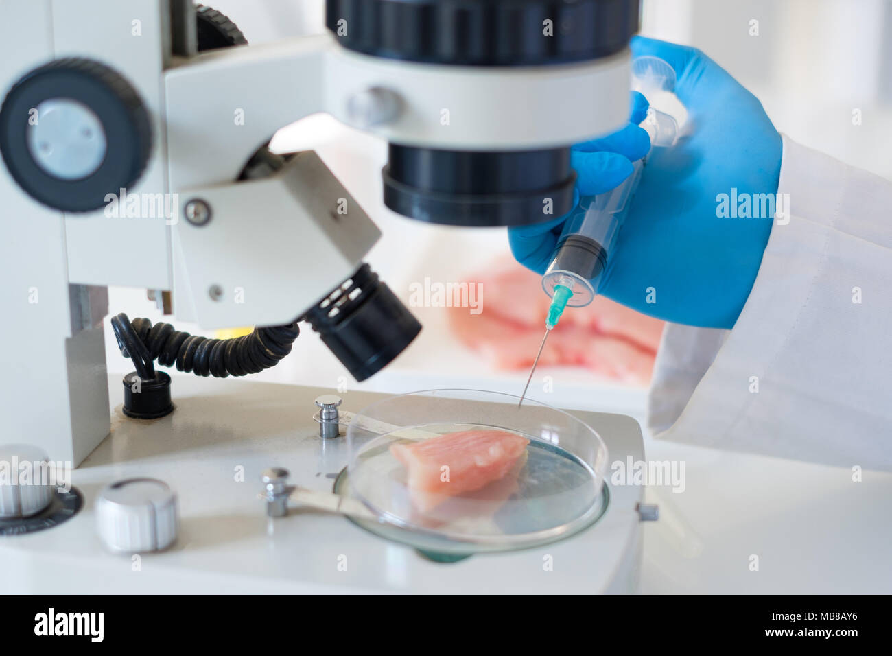 Meat Inspection High Resolution Stock Photography and Images - Alamy