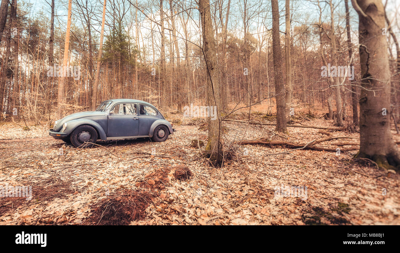 Parking in forest hi-res stock photography and images - Alamy