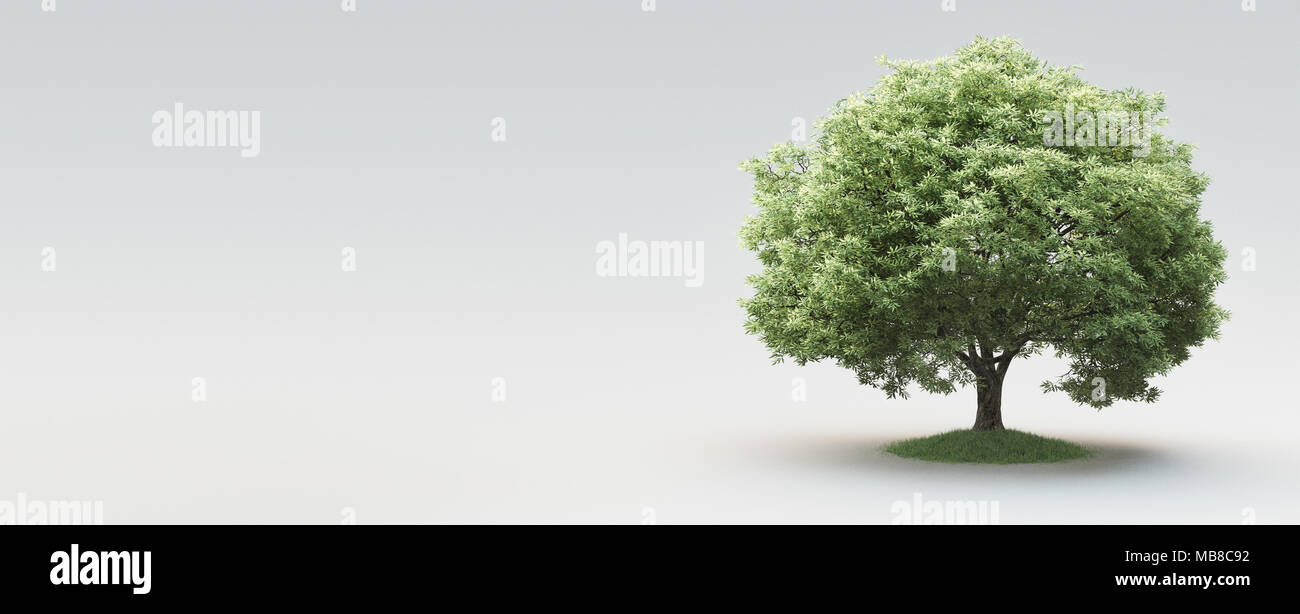 Tree, nature, life, environment, 3d render illustration Stock Photo - Alamy