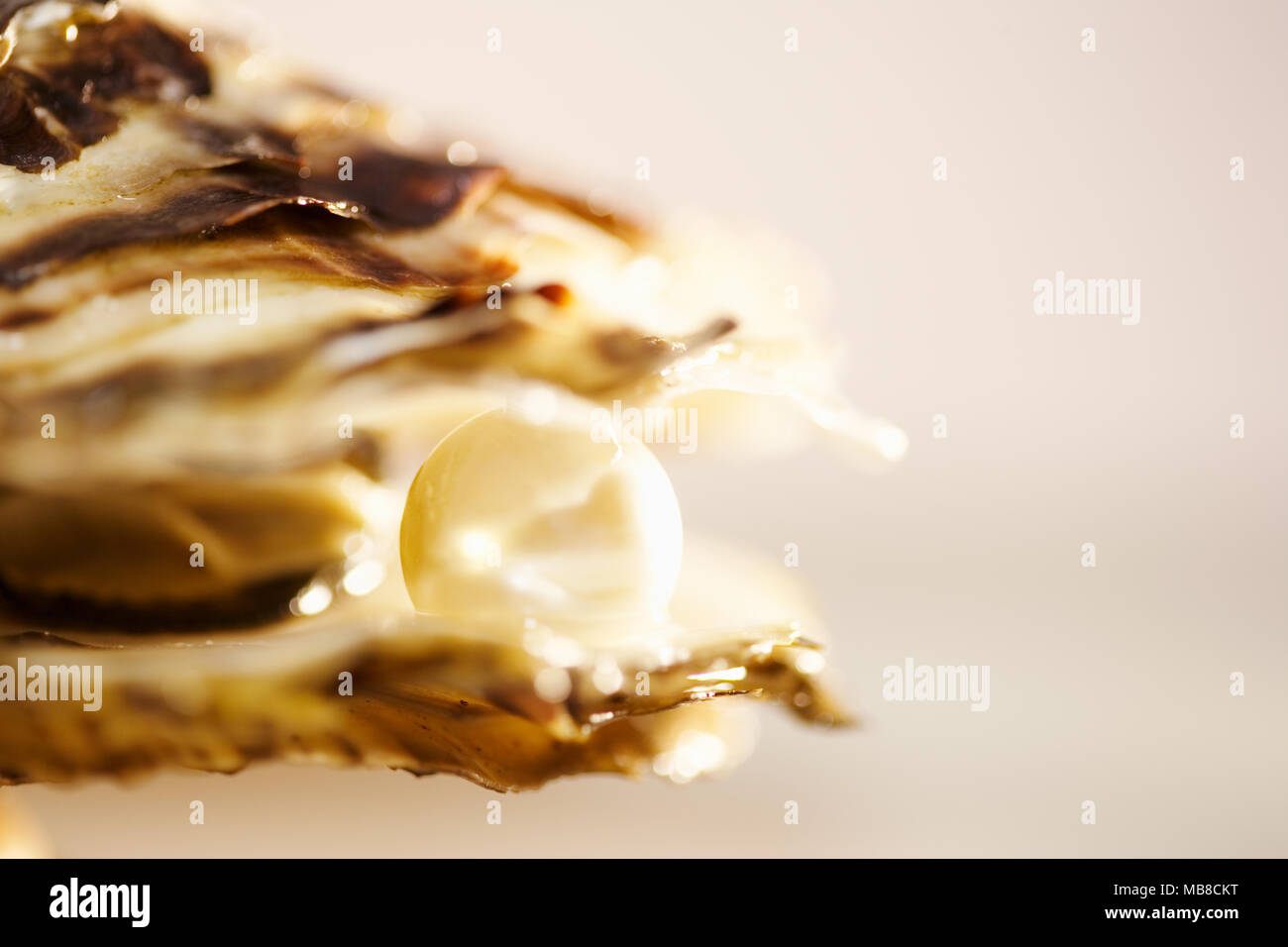 Close up of a pearl in oyster shell Stock Photo - Alamy
