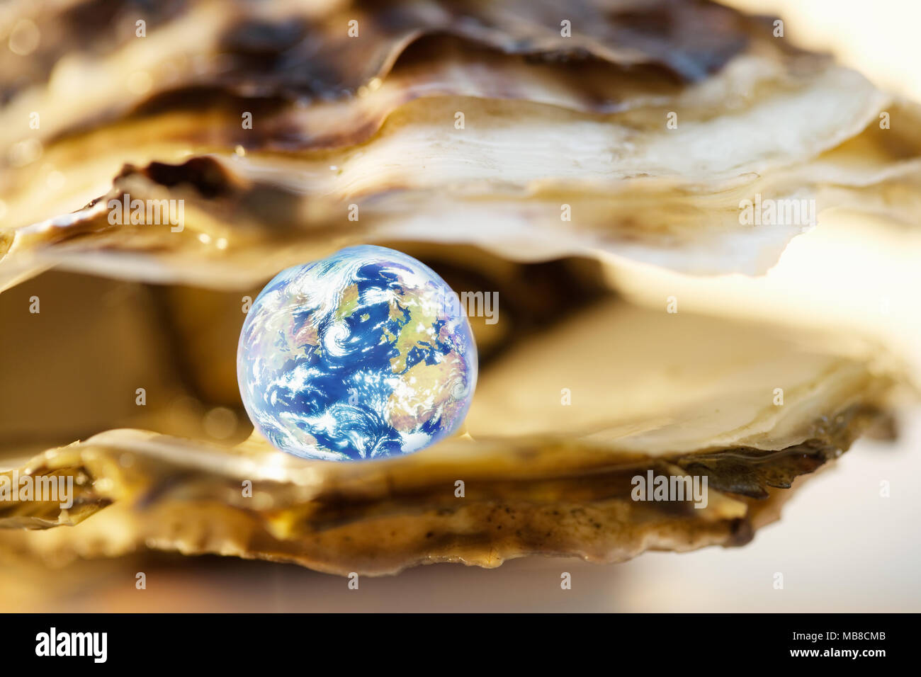 Planet earth in an oyster shell Stock Photo - Alamy
