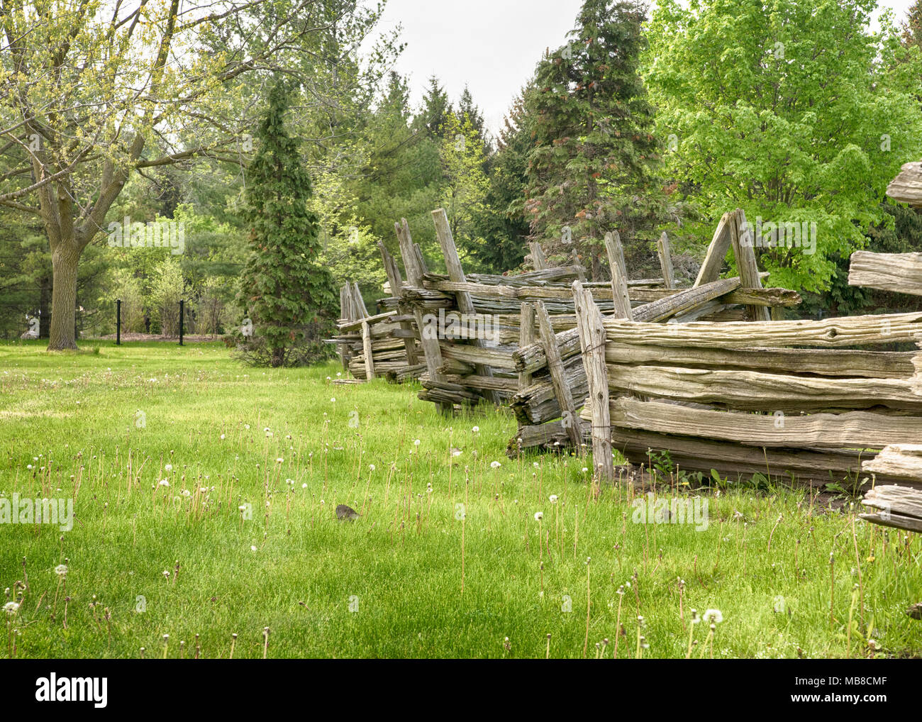 A split-rail fence in a green grass pasture with trees in background ...