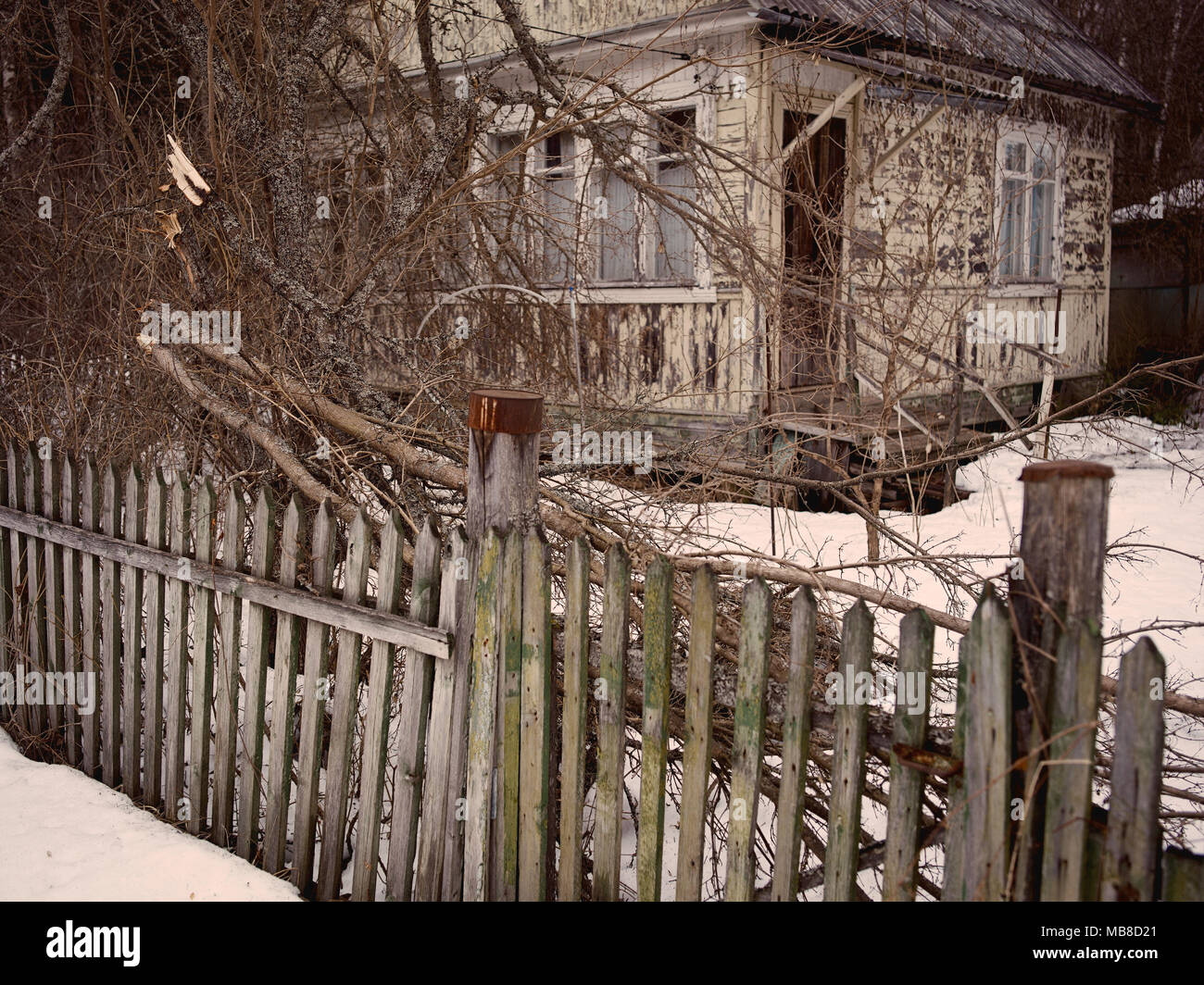 Abandoned old wooden house behind the fence and thicket, filtered image ...
