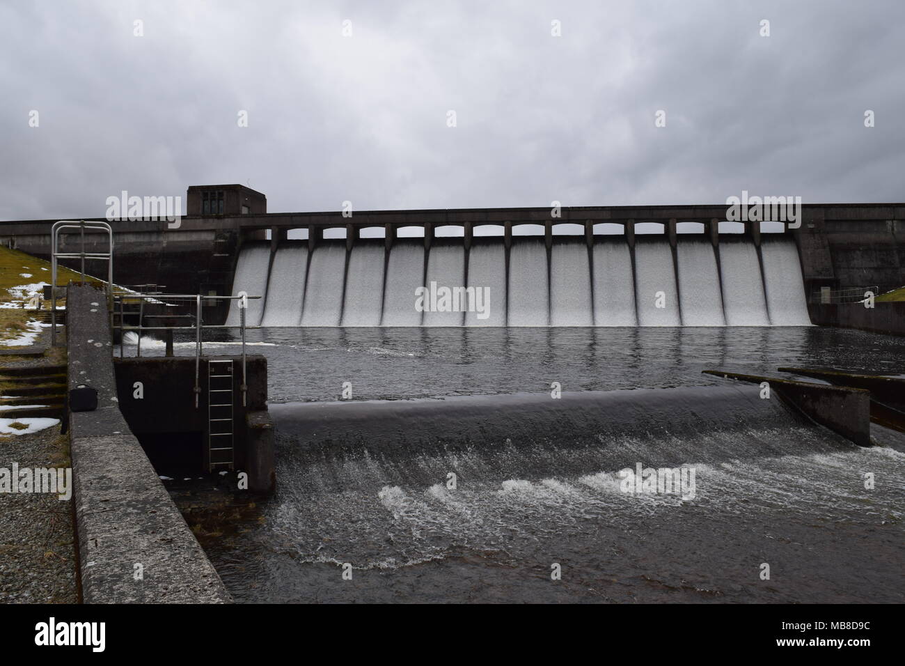 carron valley reservoir Stirlingshire Scotland" "crossbill" "carron ...