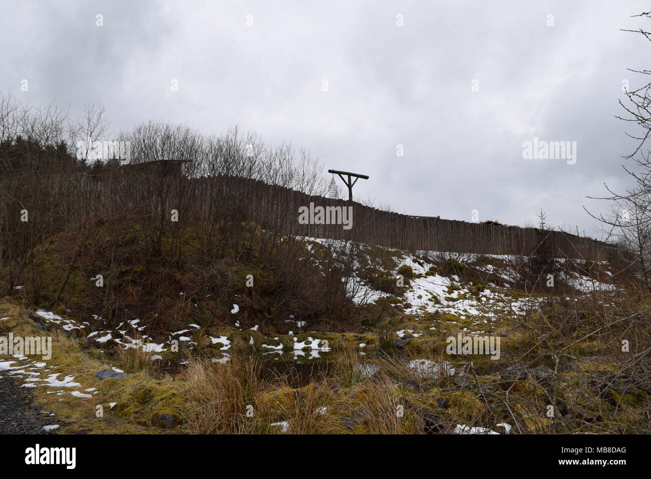 carron valley reservoir Stirlingshire Scotland" "crossbill" "carron ...