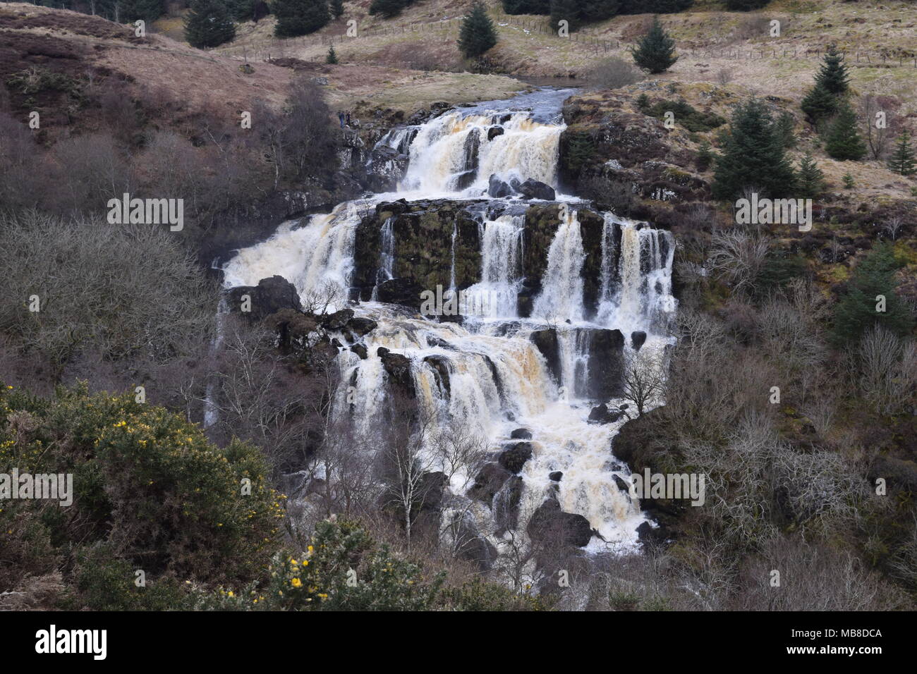 carron valley reservoir Stirlingshire Scotland" "crossbill" "carron ...