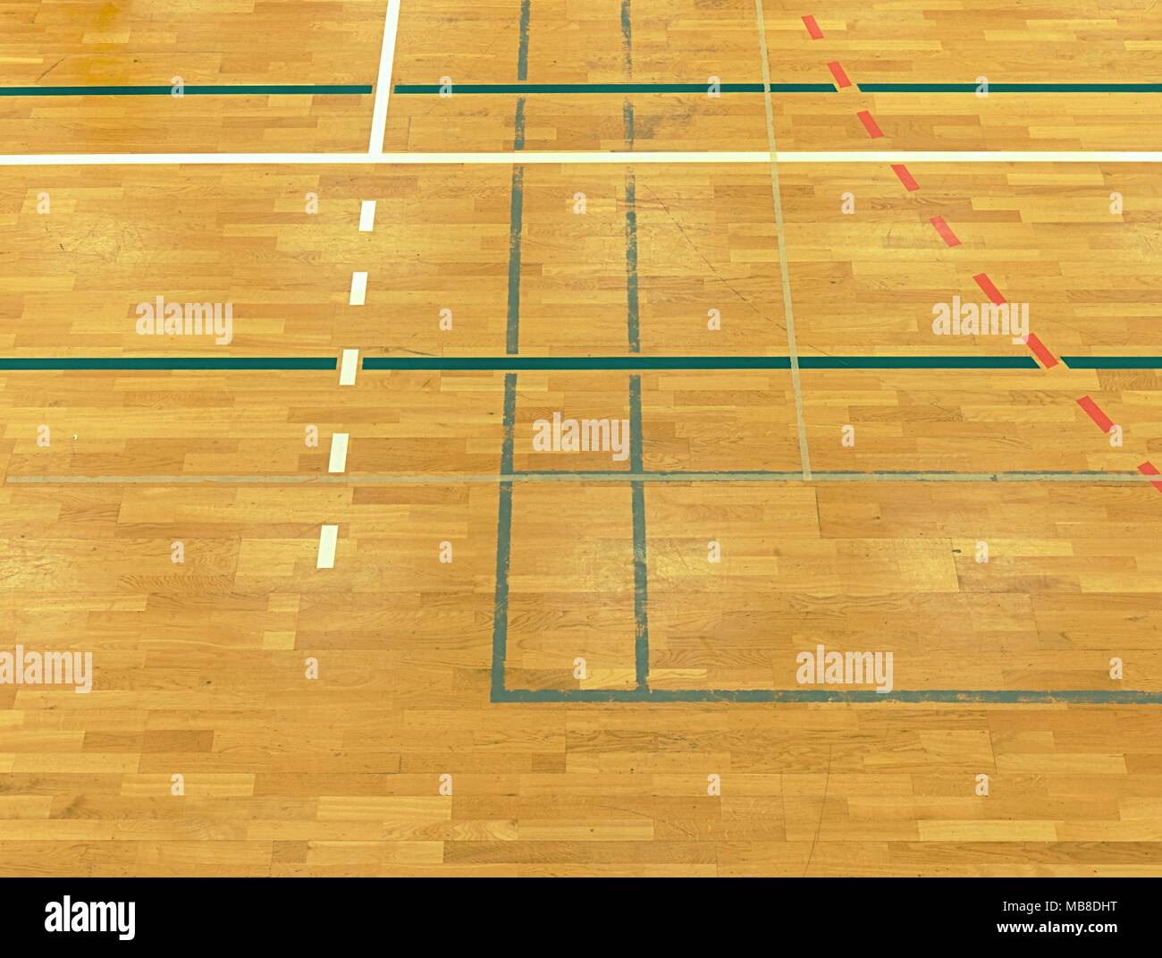 White, black red lines, green playfield in sporting hall. Renewal ...