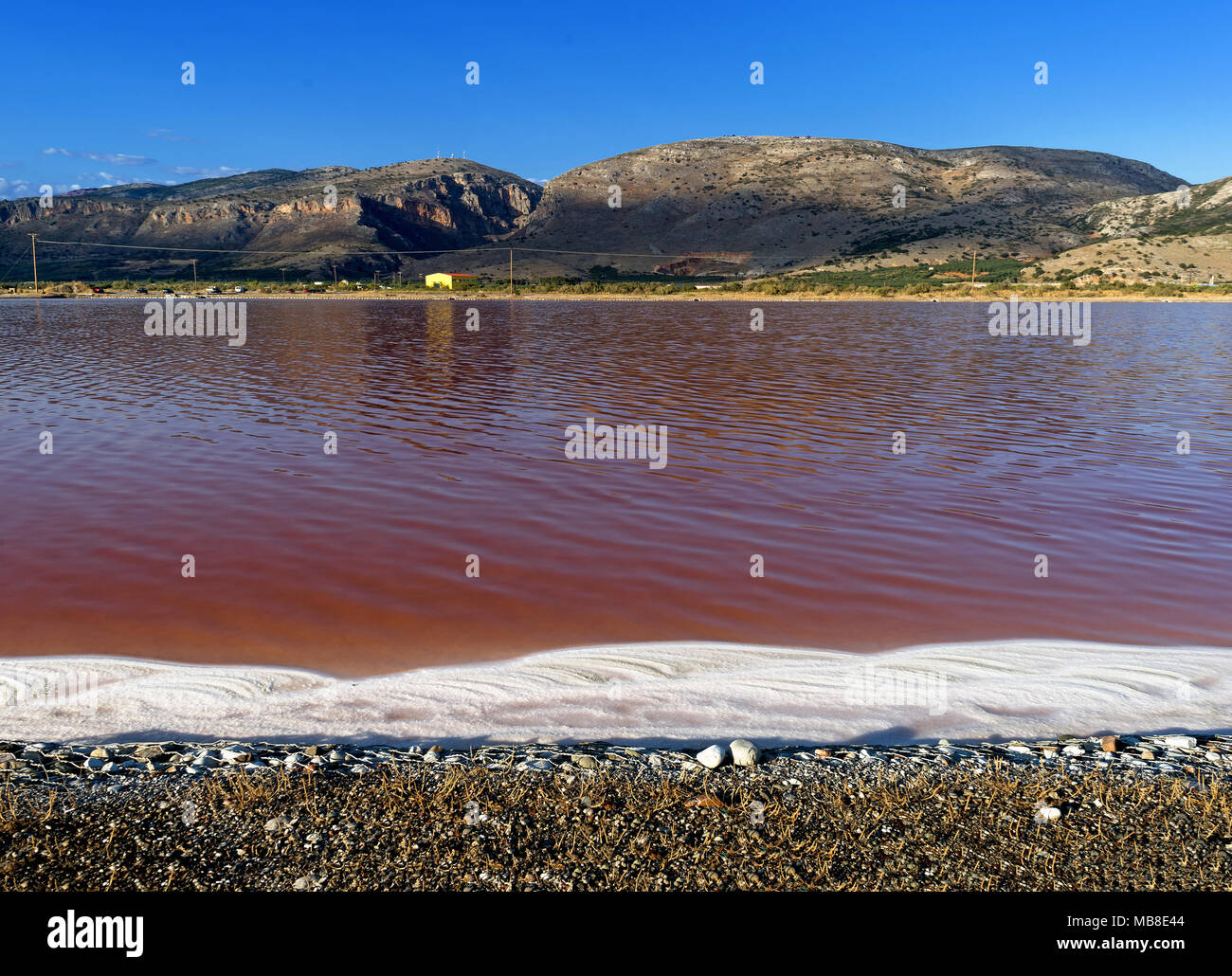 salt flats of Messolonghi Stock Photo - Alamy