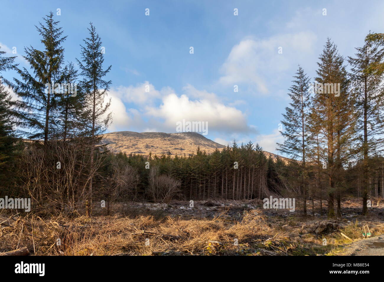 Framed view snowdonia mountains hi-res stock photography and images - Alamy