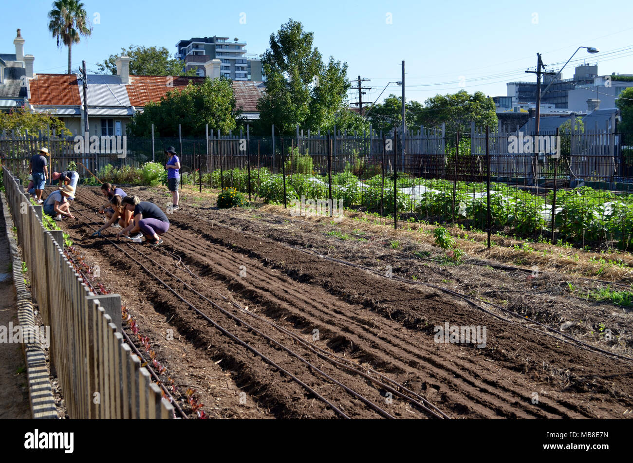 Inner city community garden hi-res stock photography and images - Alamy