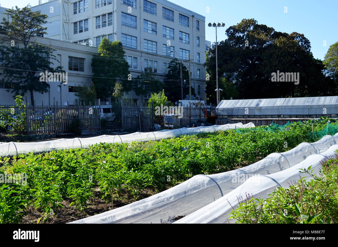 Inner City Community Garden High Resolution Stock Photography and ...