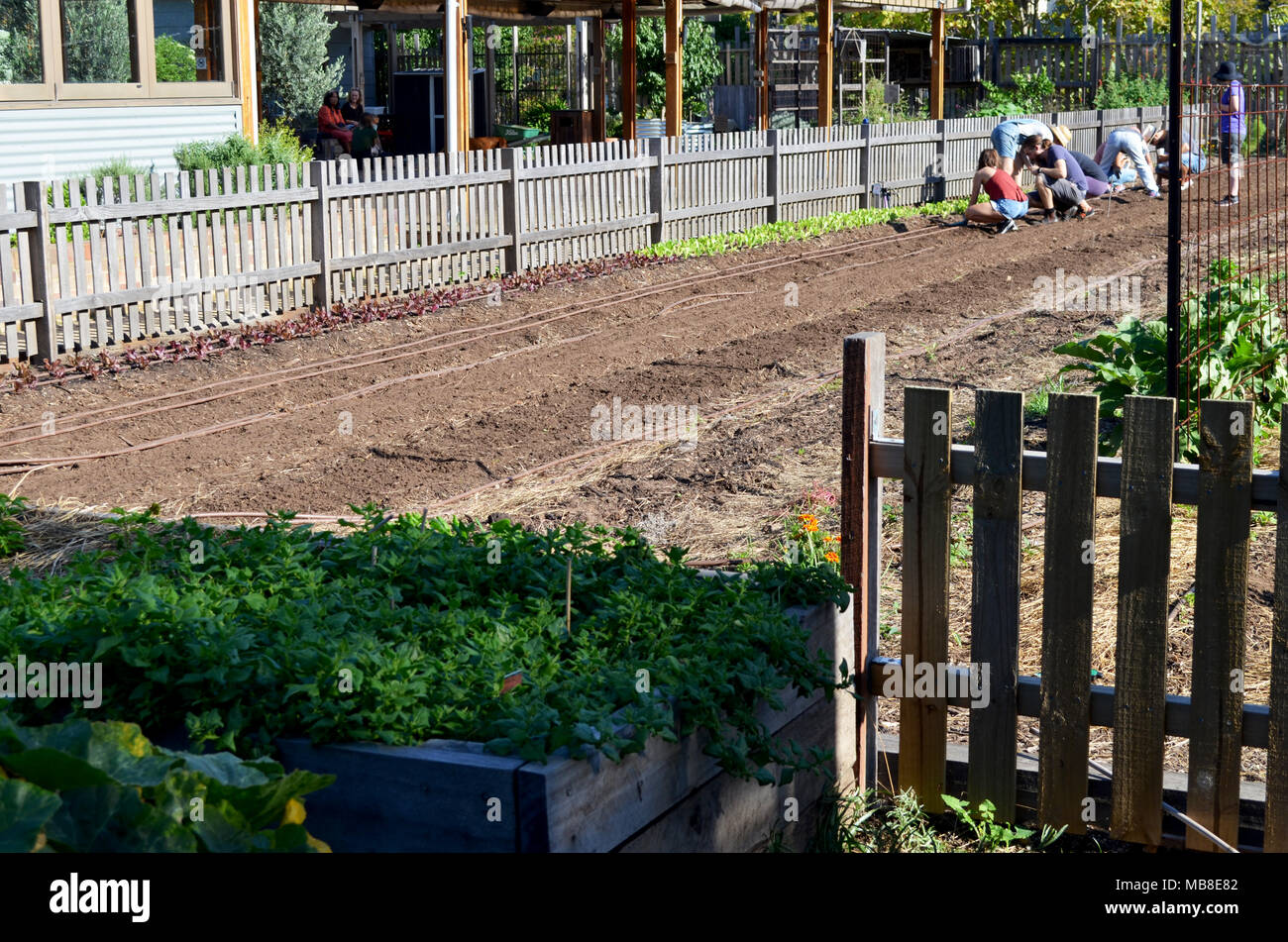 Community planting hi-res stock photography and images - Alamy