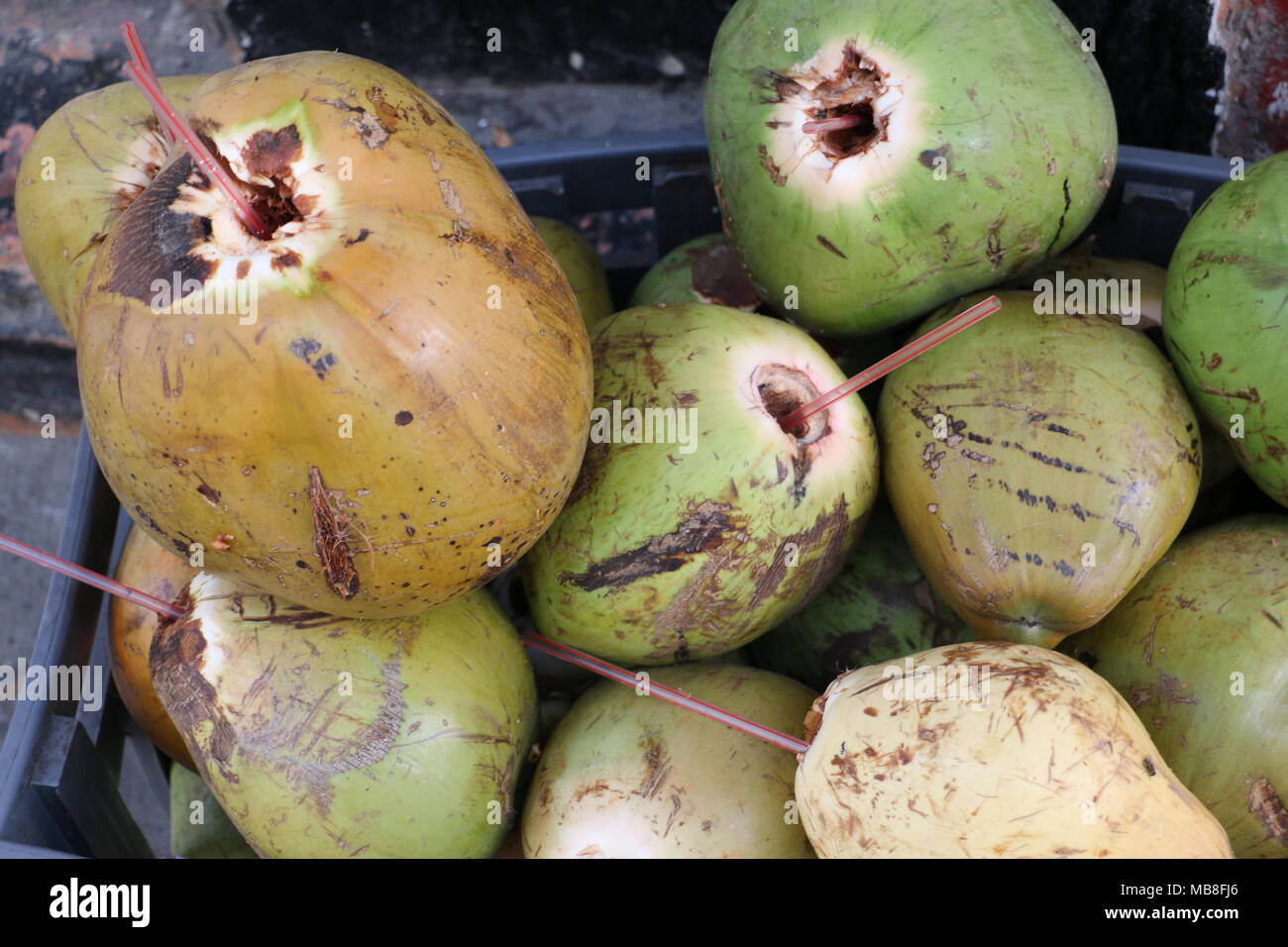 Agua de pipa ready to drink (coconut water Stock Photo - Alamy