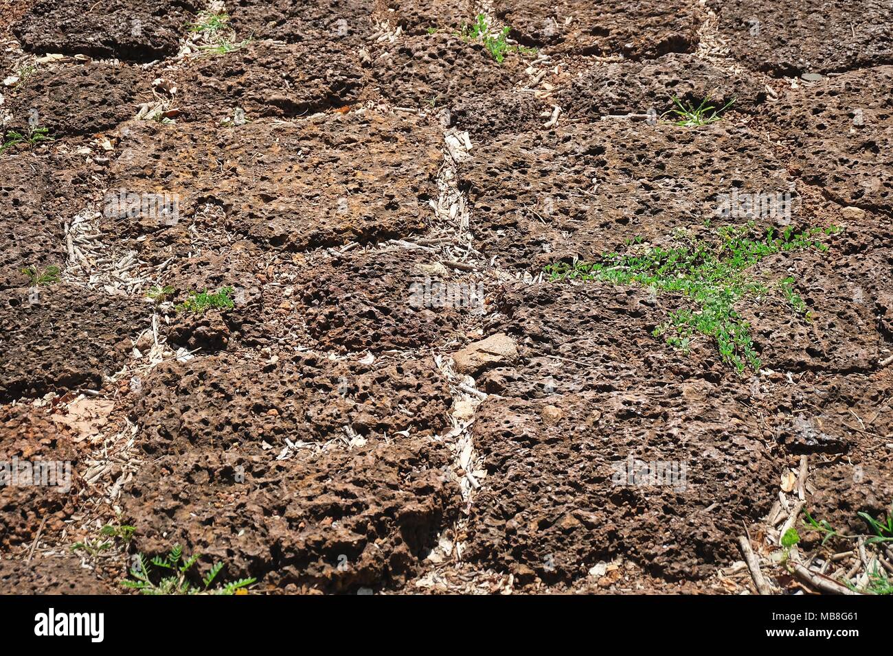 Background Textured of Red Laterite Brick Stones Floor. Laterite Is A ...