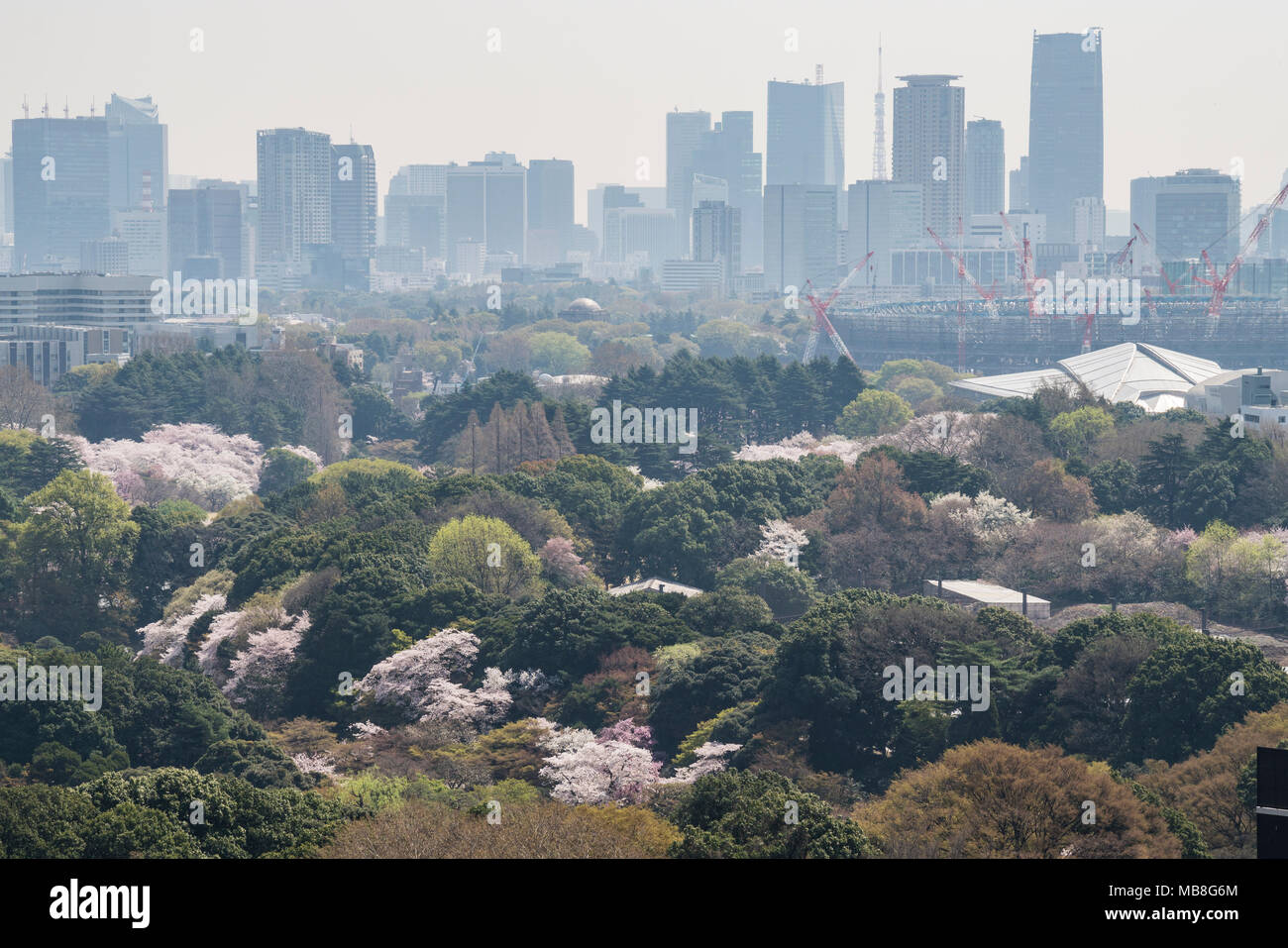 Construction site of New National Stadium and Shinjuku Gyoen Garden in ...
