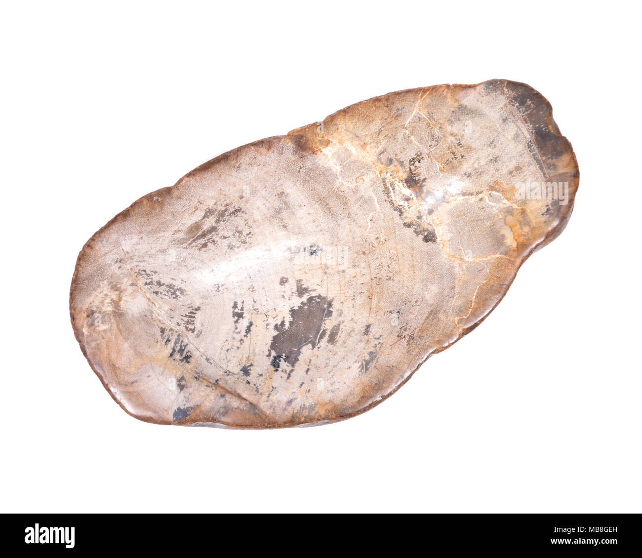 Petrified desert Cut Out Stock Images & Pictures - Alamy