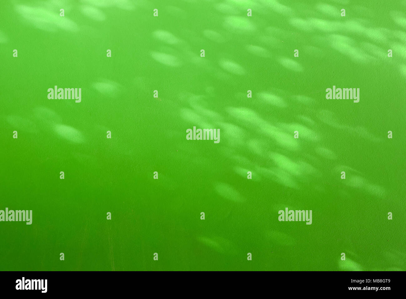 Lively green hi-res stock photography and images - Alamy