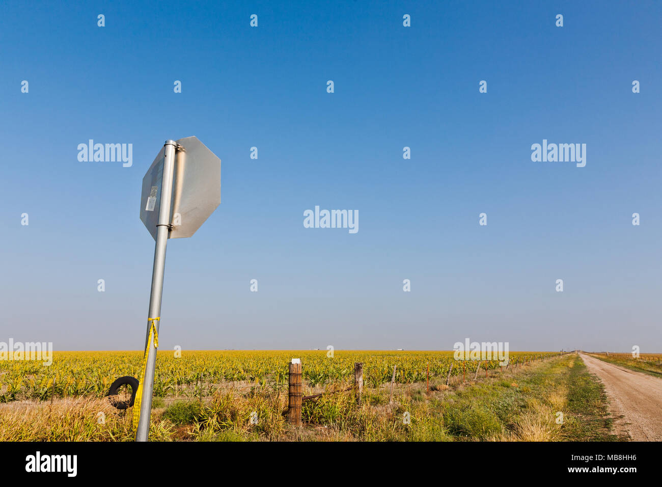 Stop sign in texas hi-res stock photography and images - Alamy