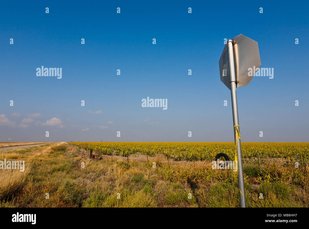 Stop sign in texas hi-res stock photography and images - Alamy