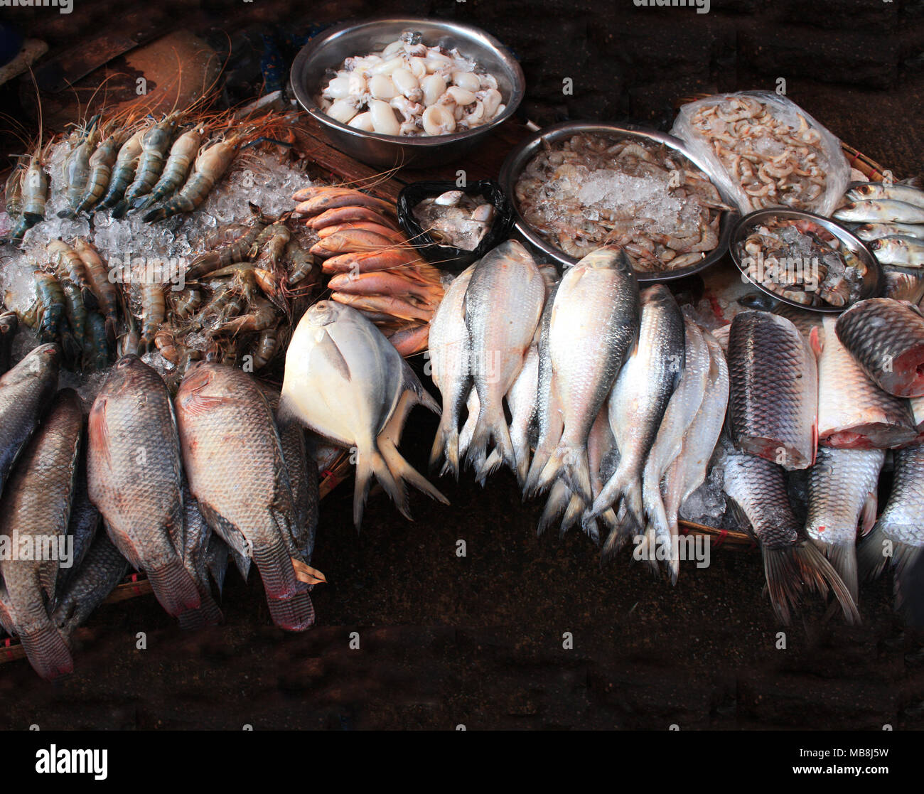 Freshly caught fish, squids and shrimp in ice, morning fish market ...