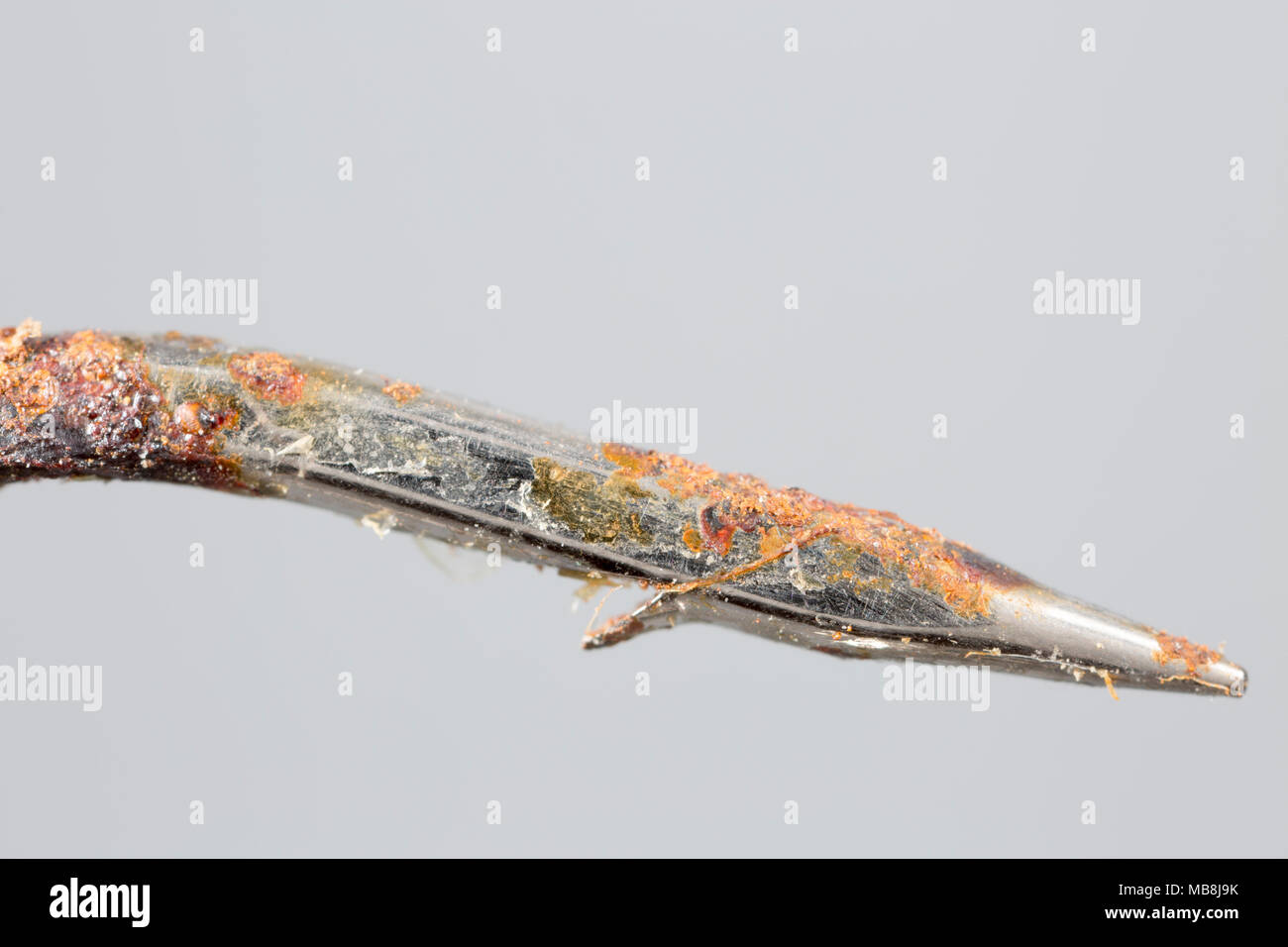 Barbed nd rusty fish hook hi-res stock photography and images - Alamy