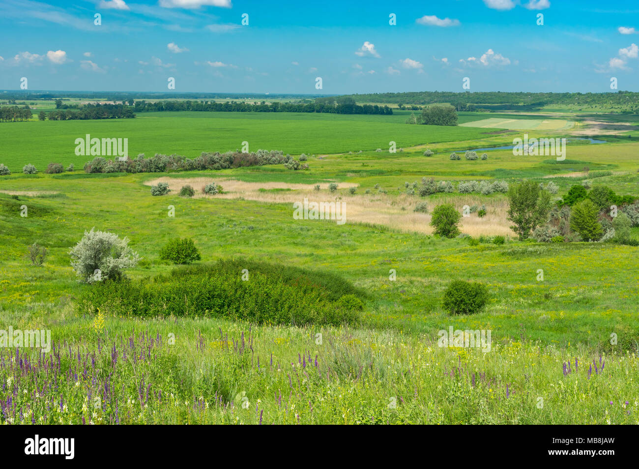 Summer landscape with agricultural fields and water-meadows near Oril ...