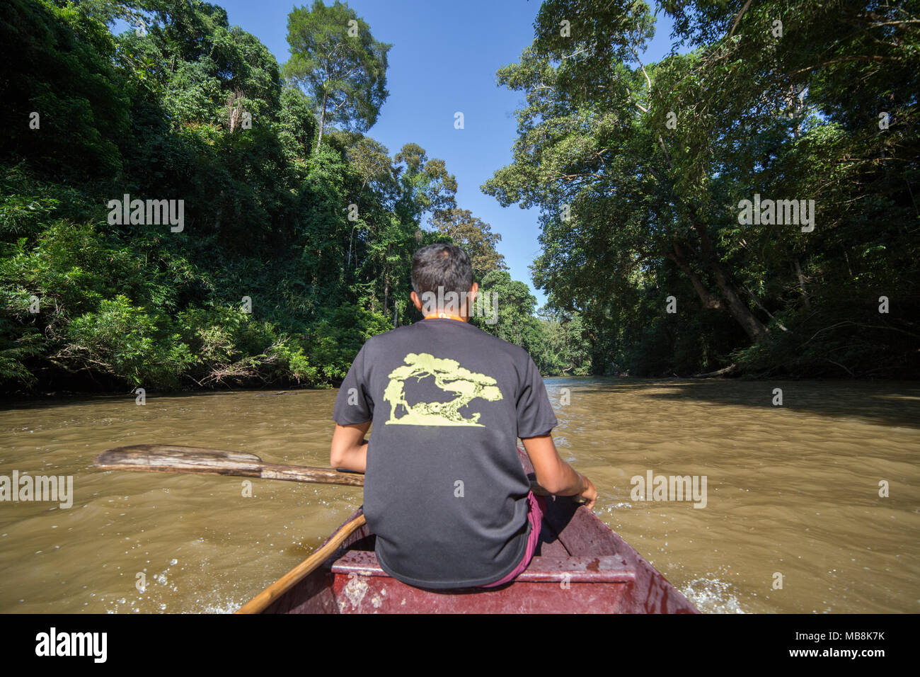 Boat ride along calm river in lush green tropical rainforest Malaysia ...
