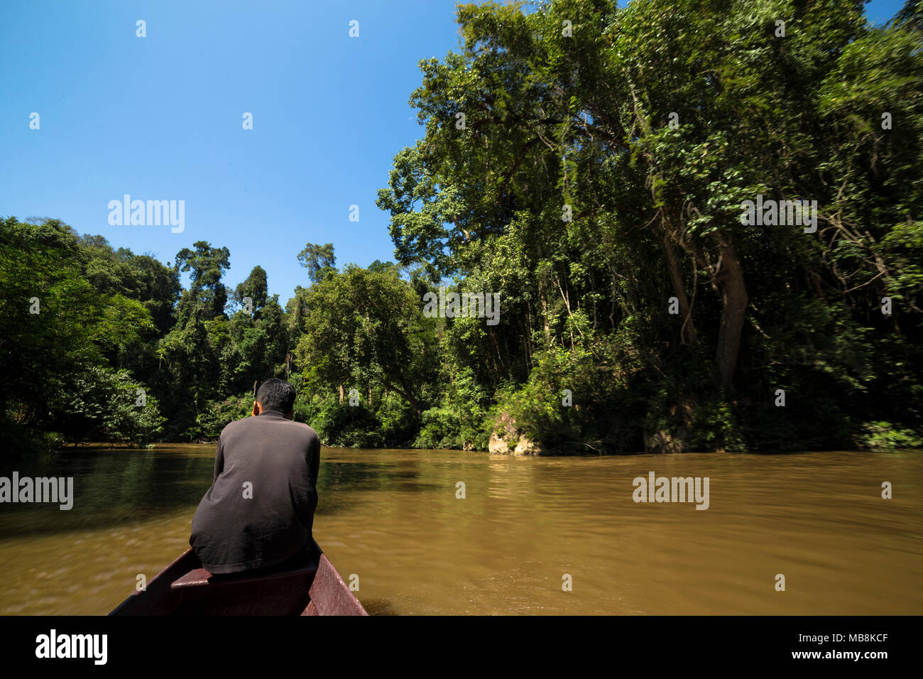 Boat ride along calm river in lush green tropical rainforest Malaysia ...