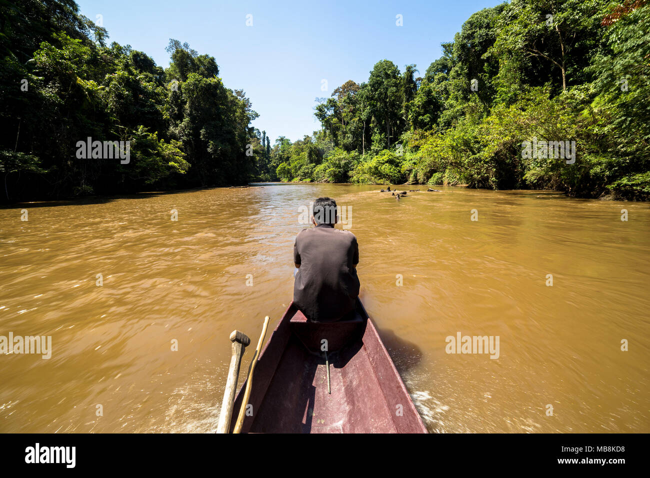 Boat ride along calm river in lush green tropical rainforest Malaysia ...